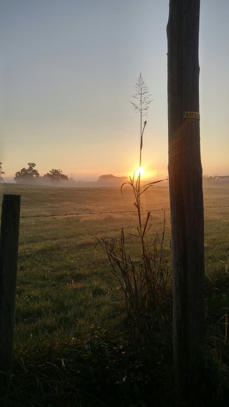 Springtime Dates – RefreshHer