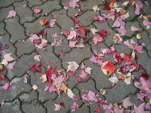 Forgiving Offenses – RefreshHer